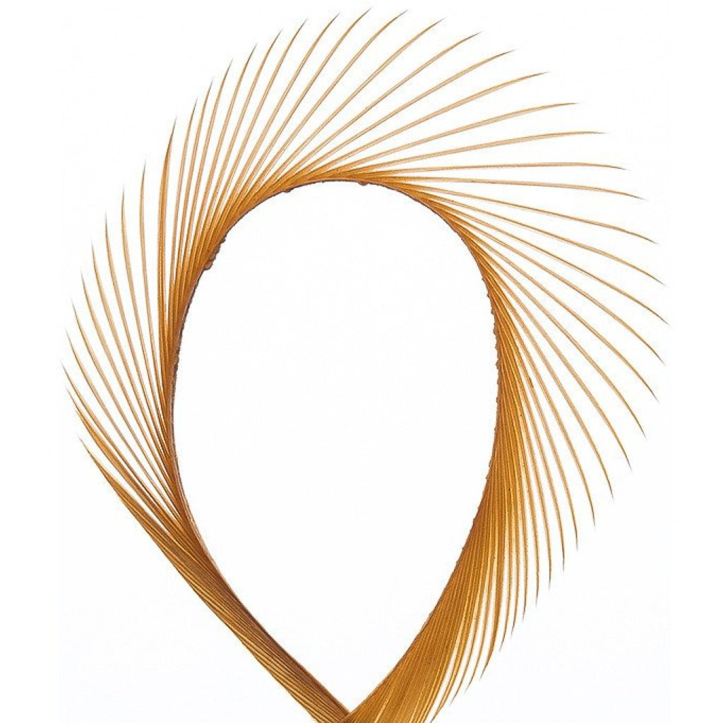 WAPSI GOOSE BIOTS GINGER